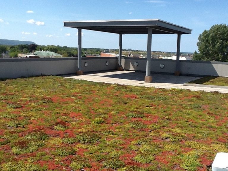 Collingwood Public Library & Green Roof - Envision Tatham