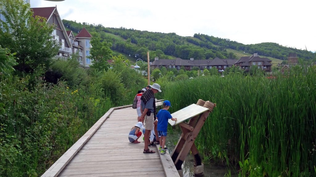 Blue Mountain Village Boardwalk - Envision Tatham
